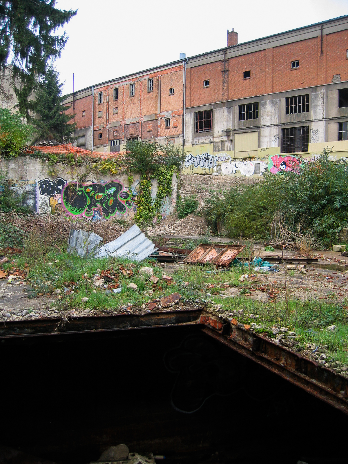 Les friches. - DENIS AUTON